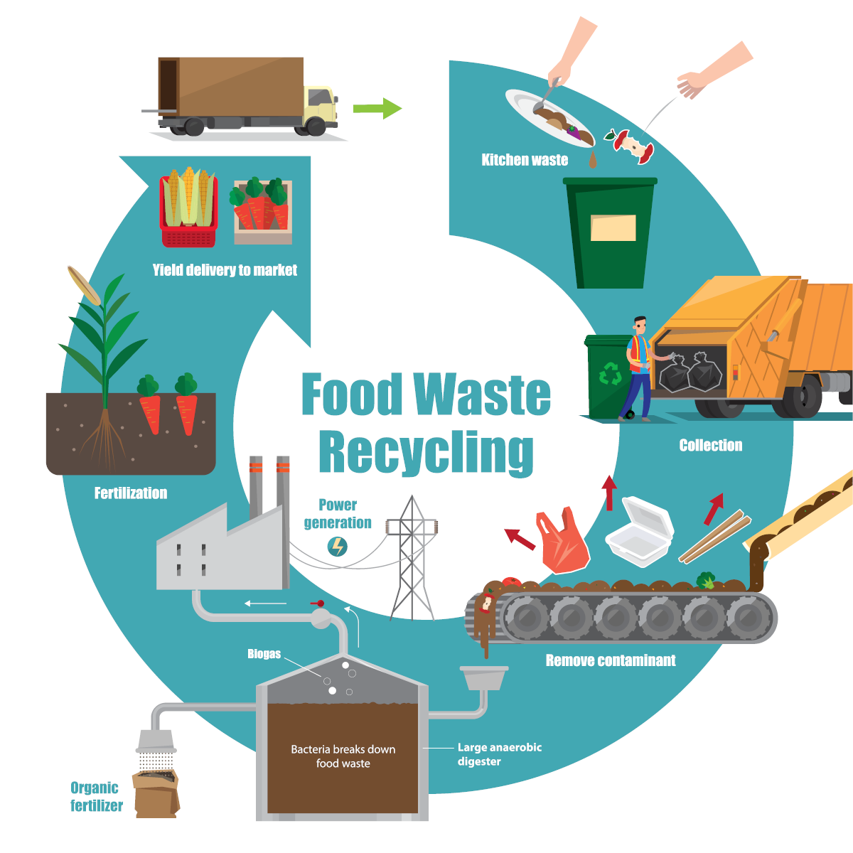 IELTS Process Chart (Complete Task 1 Guide) - Complete Test Success