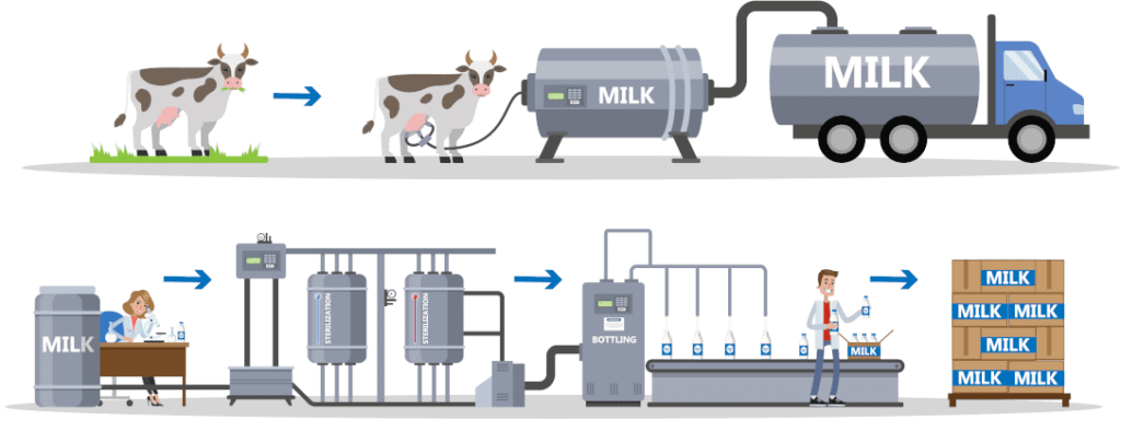 IELTS Process Chart (Complete Task 1 Guide) - Complete Test Success