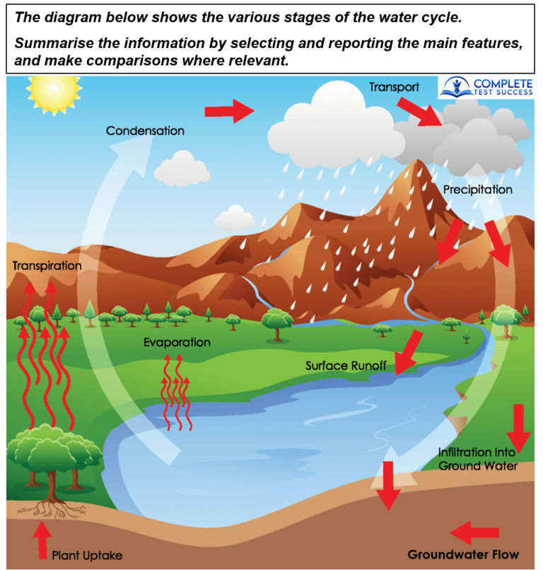 IELTS Process Chart (Complete Task 1 Guide) - Complete Test Success