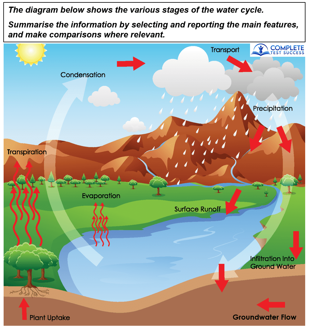 IELTS Process Chart (Complete Task 1 Guide) - Complete Test Success