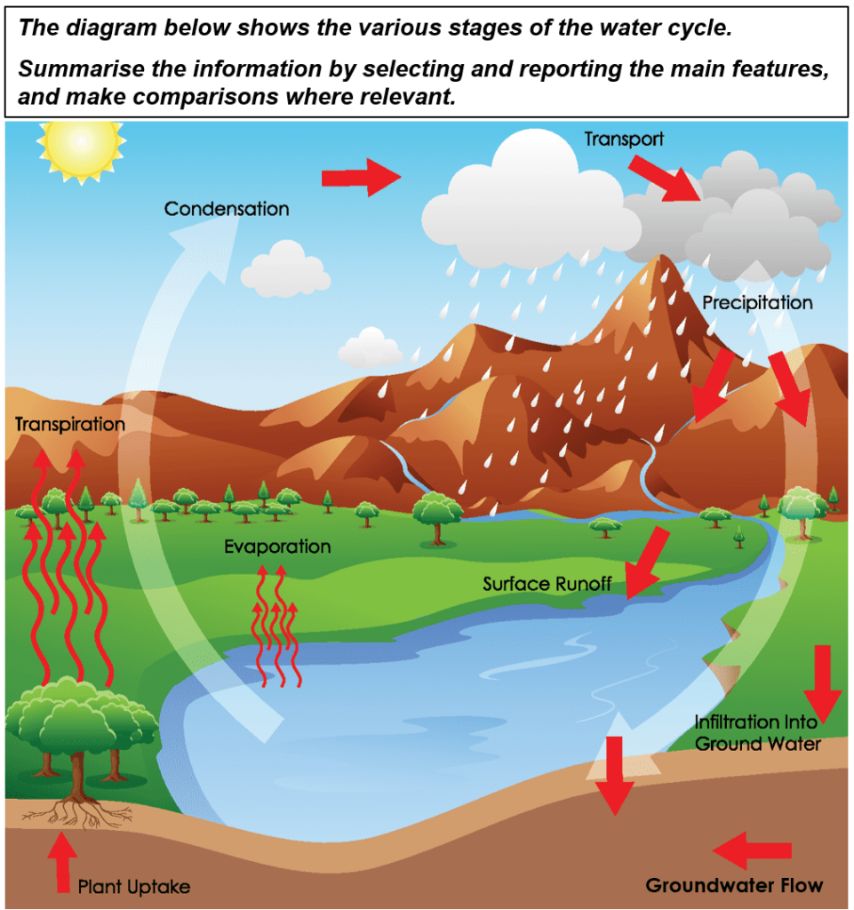 IELTS Writing Task 1 Sample Answers - Complete Test Success